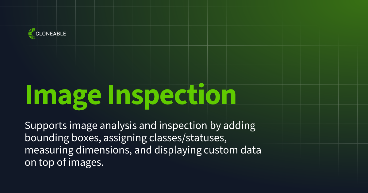 Image Inspection | Cloneable Documentation